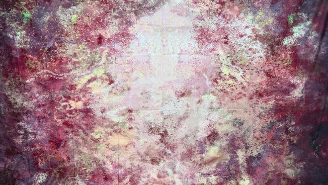 【中野新橋駅徒歩1分】自然光、完全暗室可能、多数の背景布、アンティーク家具・アーティシャルフラワーの充実した撮影スタジオの写真23