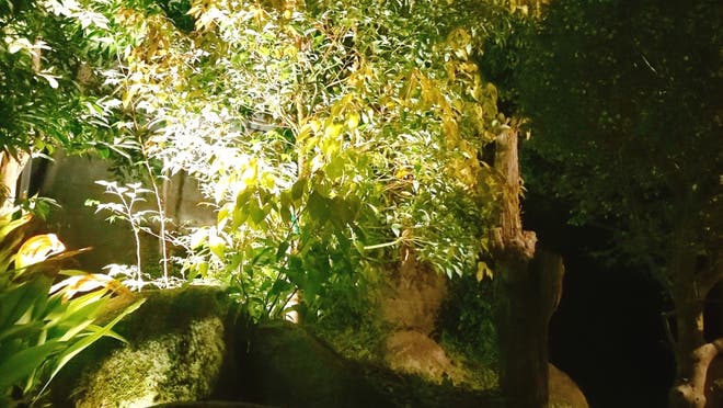 【最大30名/冷暖房完備】CMに使用された和風古民家!コスプレ・撮影・宴会・教室など!難波から電車一本20分/キッチン・駐車場有の写真21