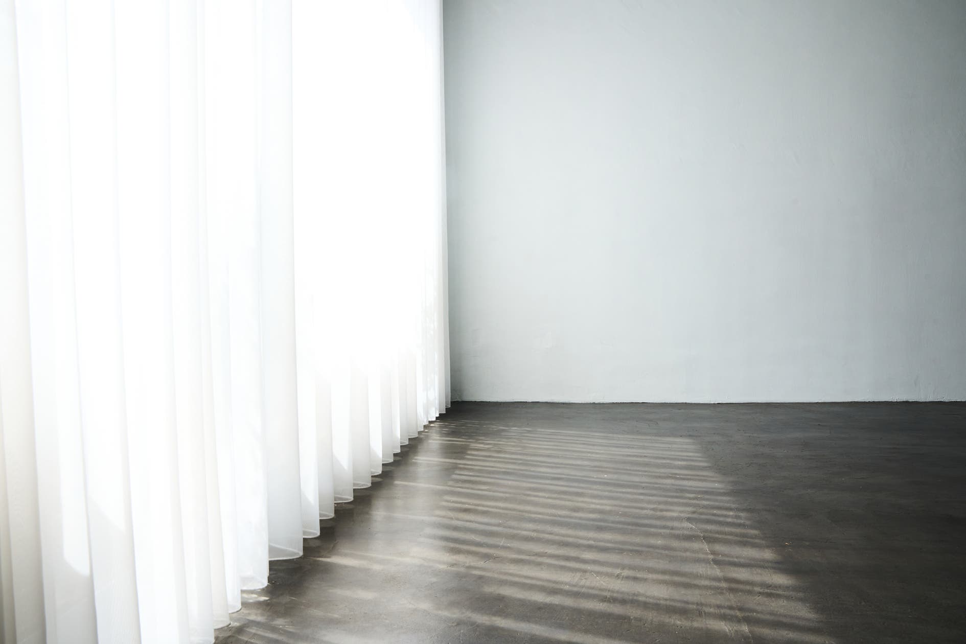 優しい自然光と白壁で撮影できるフォトスタジオの写真2