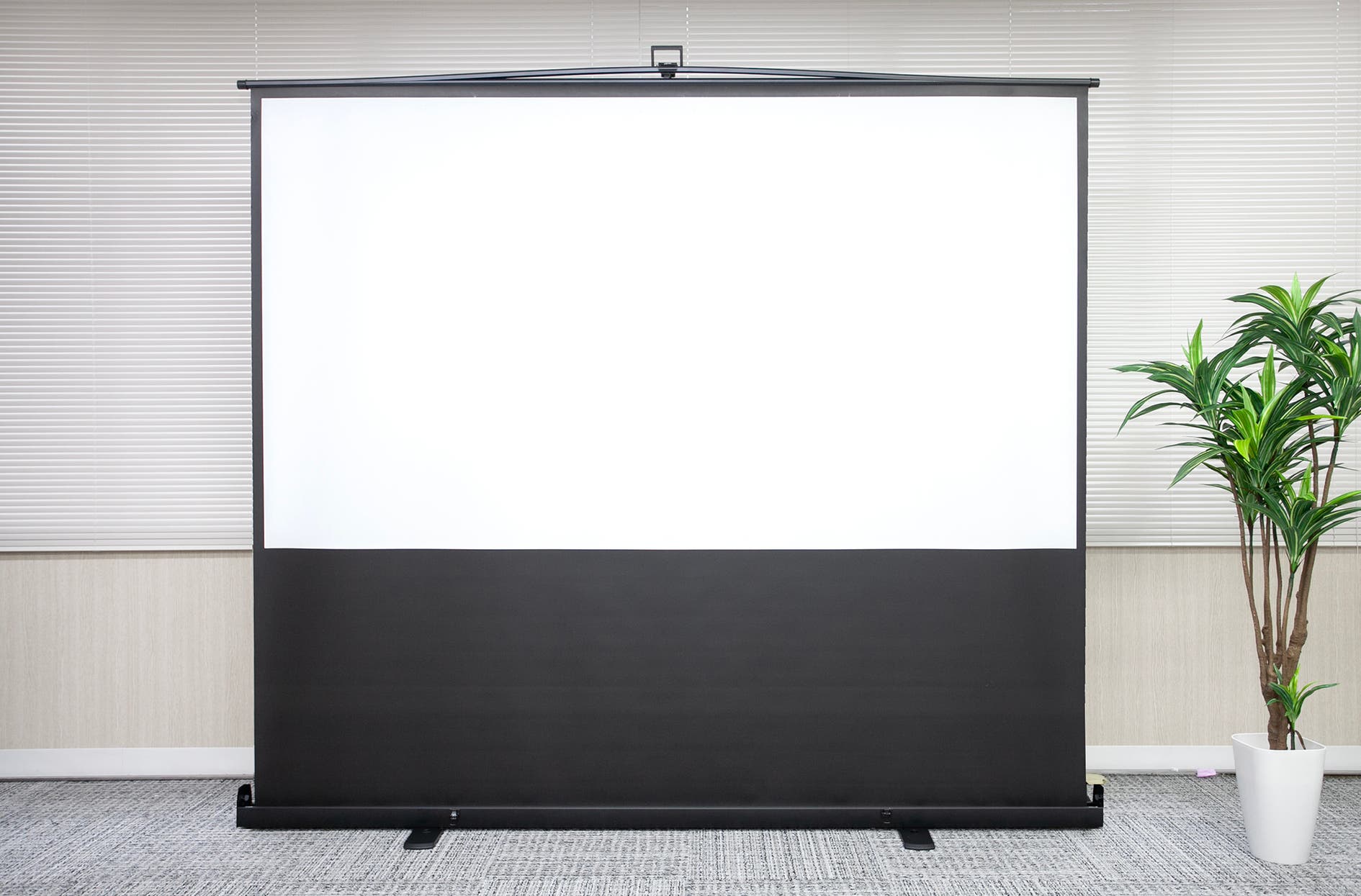 スクリーン　100インチの画像1