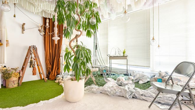 スペモ📸多背景🎭フラワーウォール💐アンティーク🕯コスプレ👗撮影🎥856_チェリッシュスタジオ秋葉原新天地の写真5