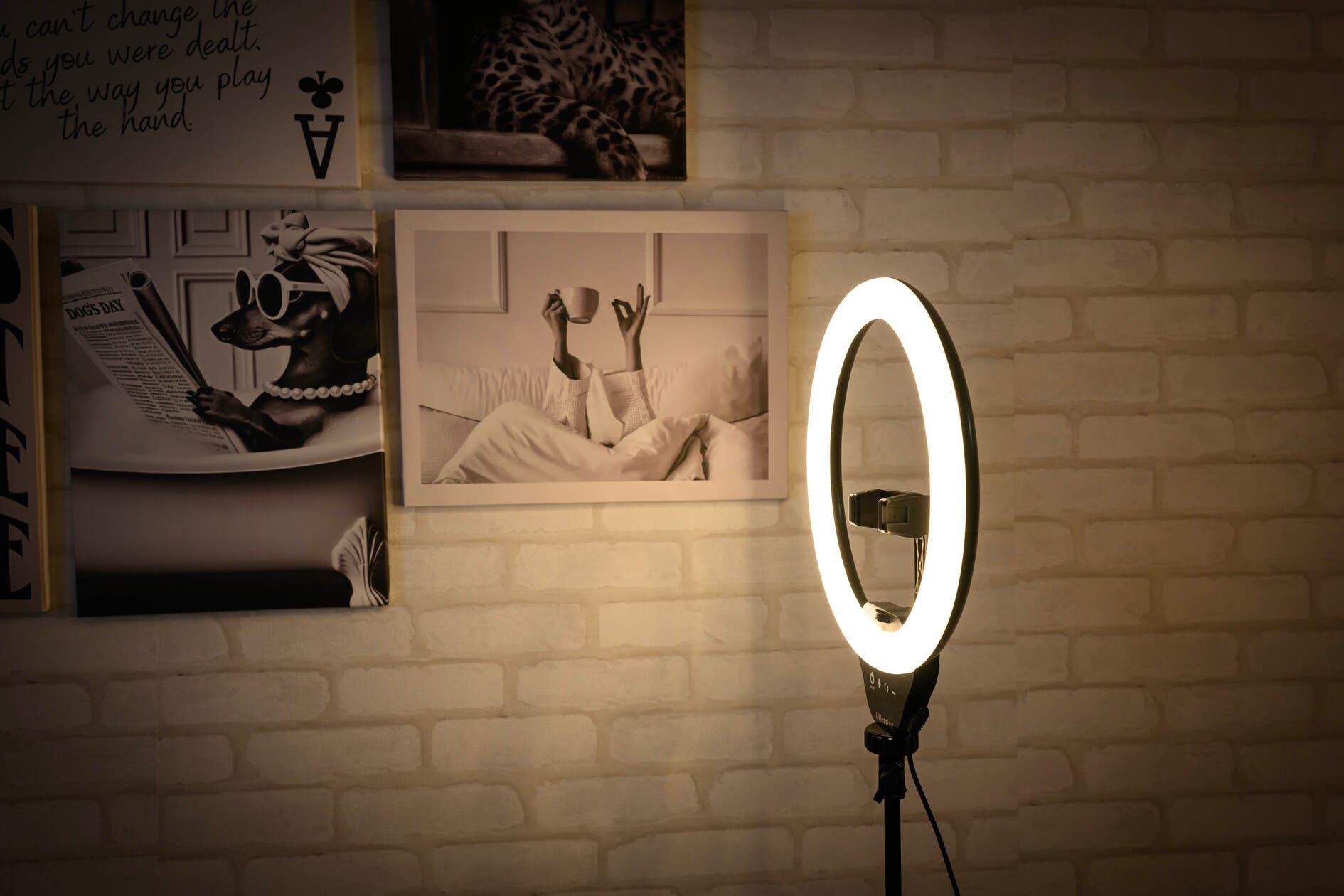 🤍オトナの隠れ家🥂本気デート／誕生日祝い🎂女子会で選ばれる映えスポット🍷大迫力100㌅鑑賞会＆Switch📽️の写真21