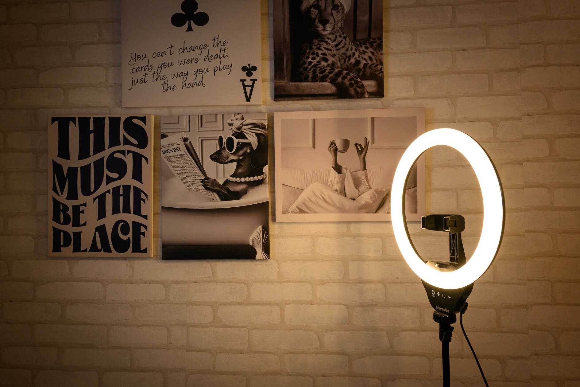 🤍オトナの隠れ家🥂本気デート／誕生日祝い🎂女子会で選ばれる映えスポット🍷大迫力100㌅鑑賞会＆Switch📽️の写真18