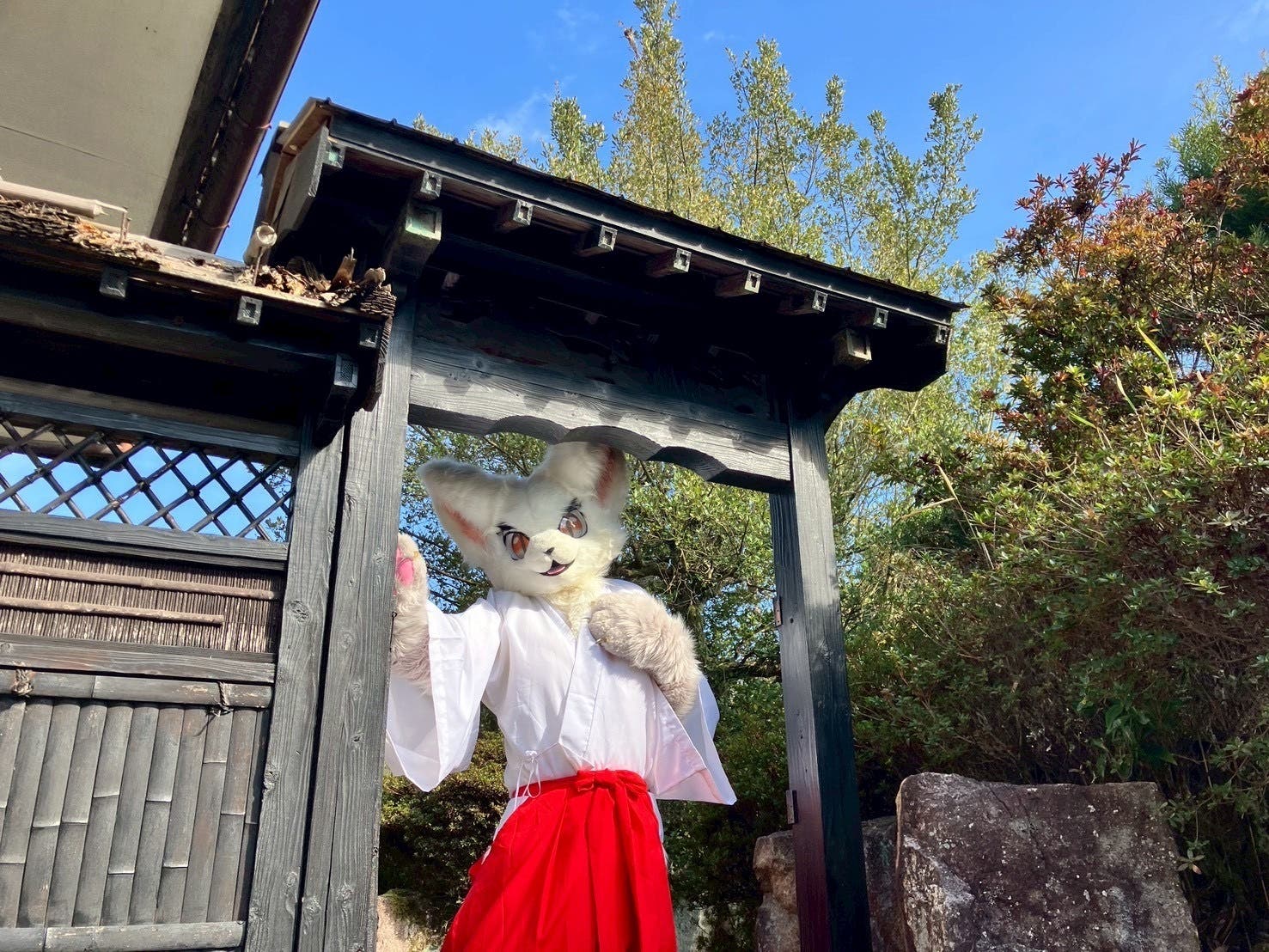 大内ハウス：中国道山口ICから５分の自然豊かな民家。撮影やお茶会にどうぞ。ピアノやギター、撮影用のレフ版もあります。の写真11