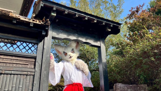 大内ハウス:中国道山口ICから5分の自然豊かな民家。撮影やお茶会にどうぞ。ピアノやギター、撮影用のレフ版もあります。の写真11