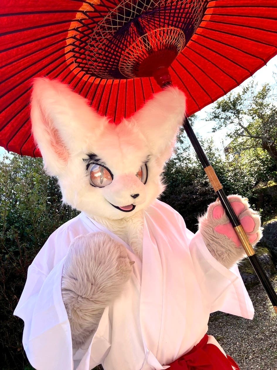 大内ハウス：中国道山口ICから５分の自然豊かな民家。撮影やお茶会にどうぞ。ピアノやギター、撮影用のレフ版もあります。の写真12