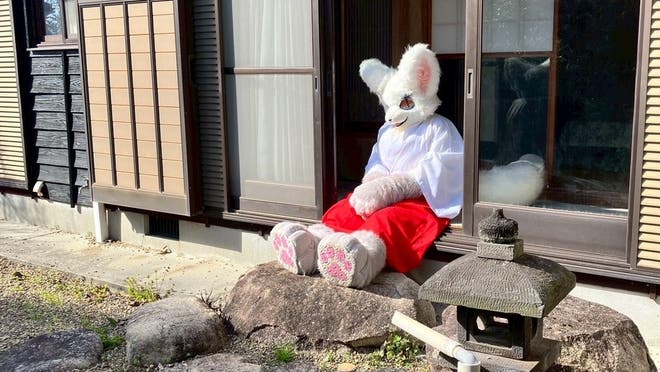 大内ハウス:中国道山口ICから5分の自然豊かな民家。撮影やお茶会にどうぞ。ピアノやギター、撮影用のレフ版もあります。の写真13