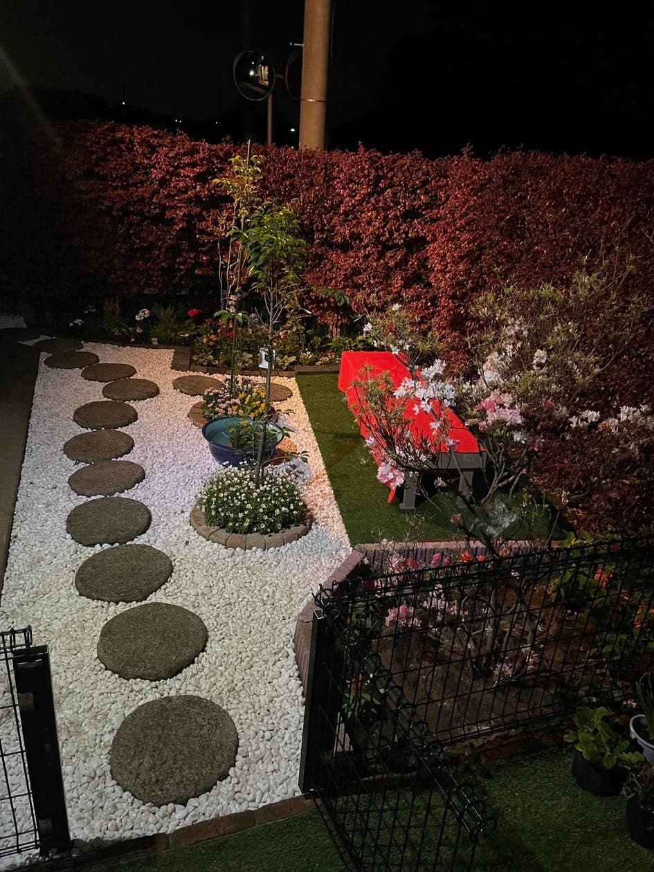 南国風ガーデン×和の坪庭｜ペットOKの撮影空間の写真25