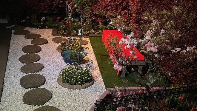 南国風ガーデン×和の坪庭|ペットOKの撮影空間の写真25