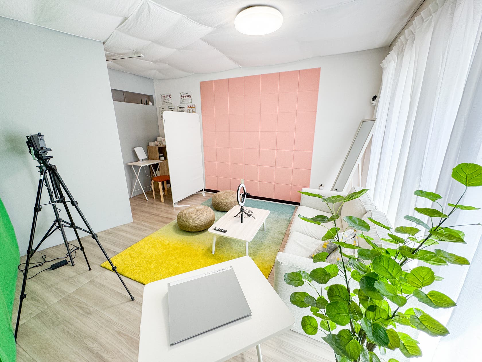 自然光たっぷり多目的スペース☀️大きな窓で明るい｜撮影・会議・ママ会に｜JR小岩駅6分の写真1