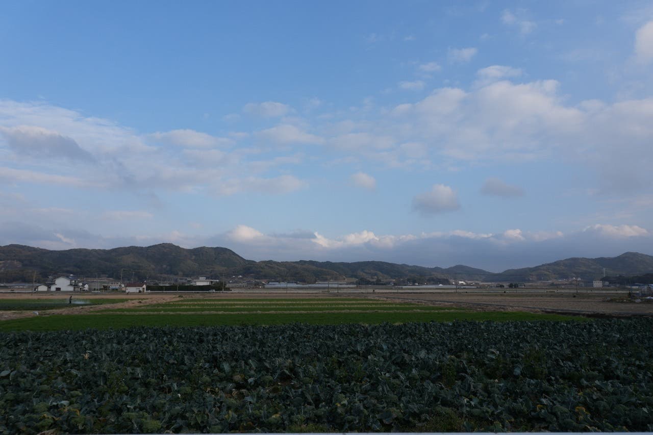 【福津・海辺】非日常の木と光の空間｜撮影スタジオ／コーワーキング／貸切イベント対応の写真17