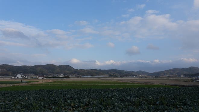 【福津・海辺】非日常の木と光の空間|撮影スタジオ/コーワーキング/貸切イベント対応の写真17