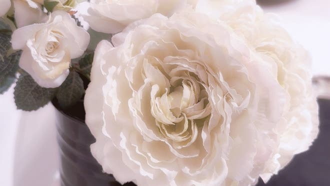 ここでしか撮れない“かわいい”を♡の写真7