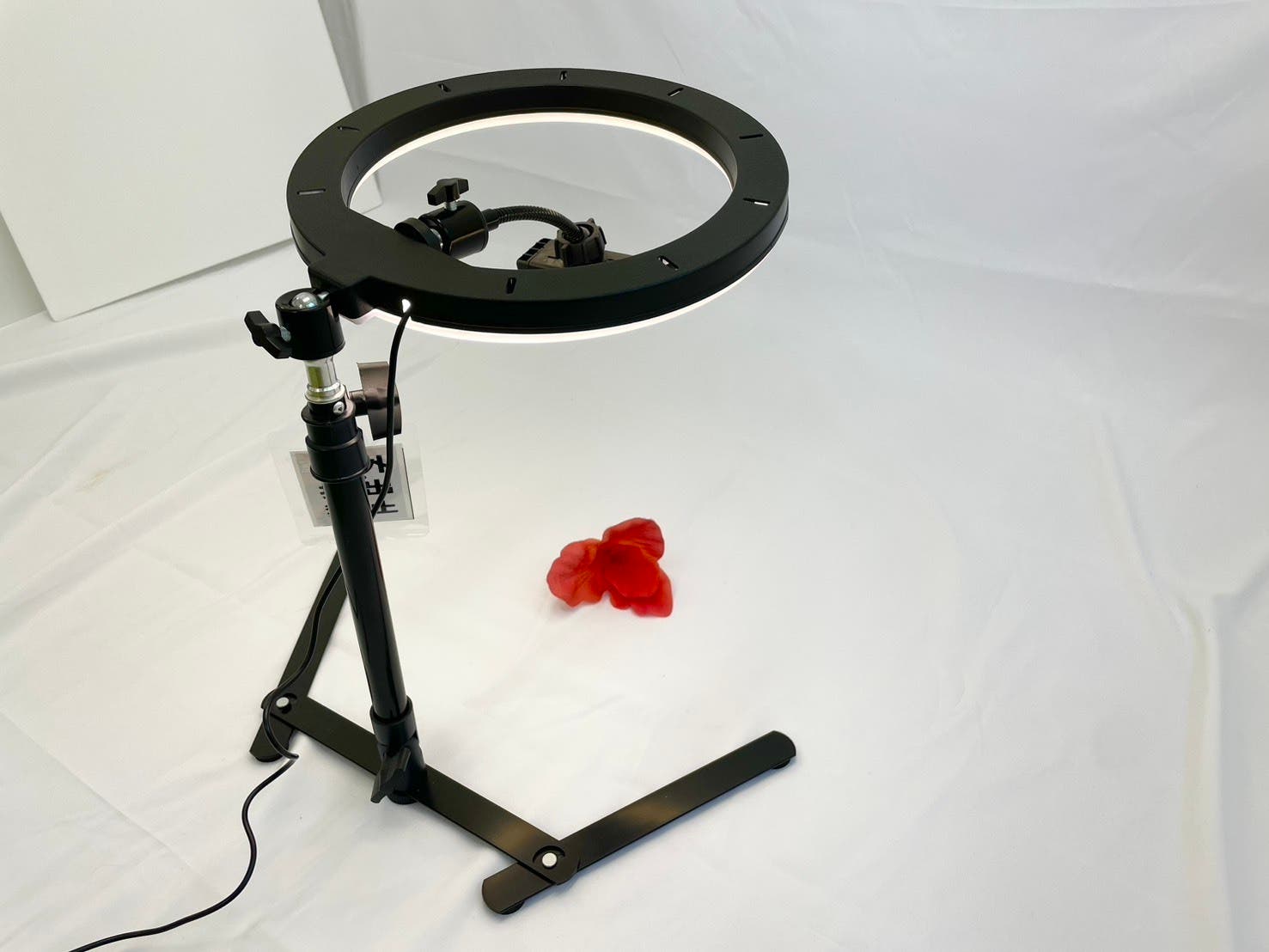 ＜Studio One Take 赤坂＞【赤坂駅1分】セルフテープ・オーディション動画撮影スタジオ|宣材写真・YouTube撮影の写真5