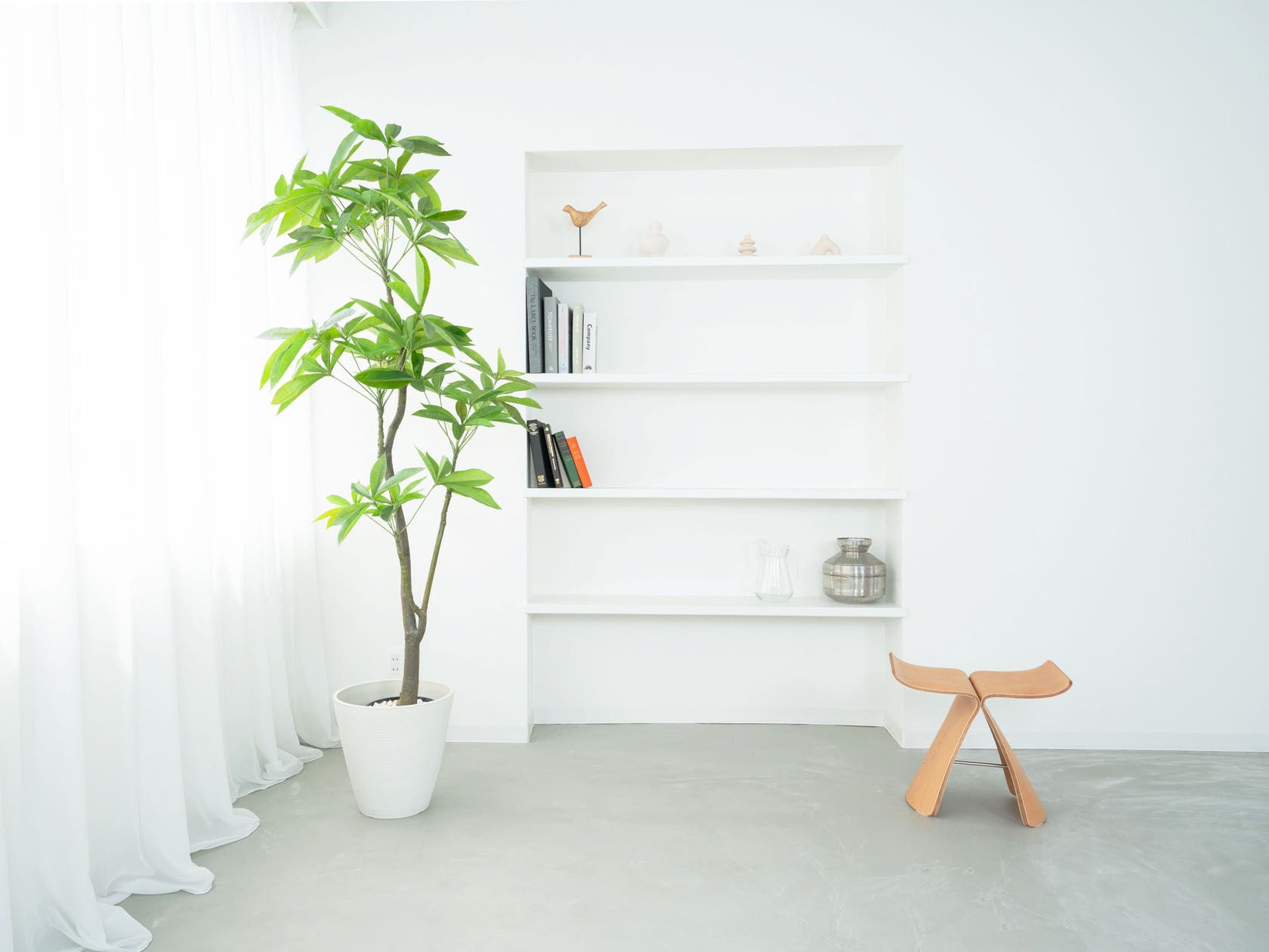 撮影機材無料・自然光・コンクリ床・白壁・アーチ・埋込本棚【 アパレル｜撮影｜POP UP 】メイクルーム完備・大須観音7分の写真2