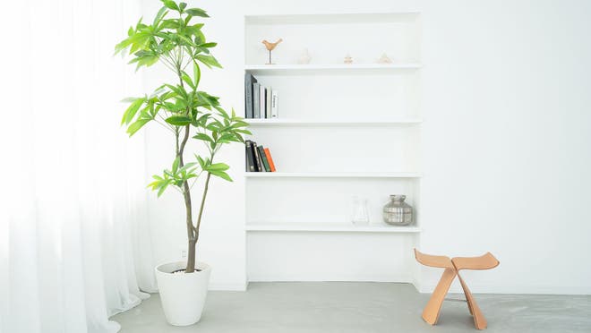 撮影機材無料・自然光・コンクリ床・白壁・アーチ・埋込本棚【 アパレル|撮影|POP UP 】メイクルーム完備・大須観音7分の写真2