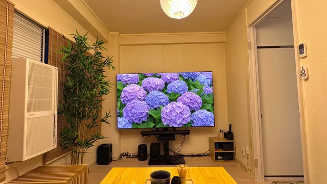 🌿初夏限定🌿藤と紫陽花の和風空間🍃新緑映え和室×ミニ日本庭園🪭着物撮影👘コスプレ📸女子会🎉デート🥂浅草5分🏮の写真13
