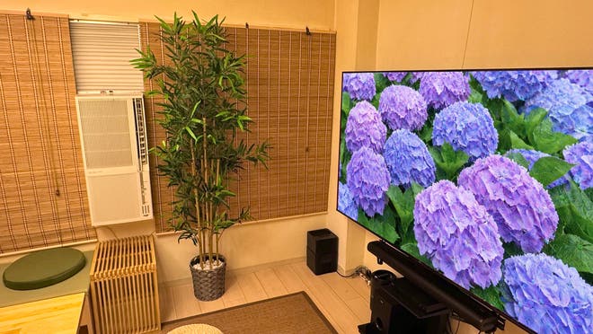 🌿初夏限定🌿藤と紫陽花の和風空間🍃新緑映え和室×ミニ日本庭園🪭着物撮影👘コスプレ📸女子会🎉デート🥂浅草5分🏮の写真5