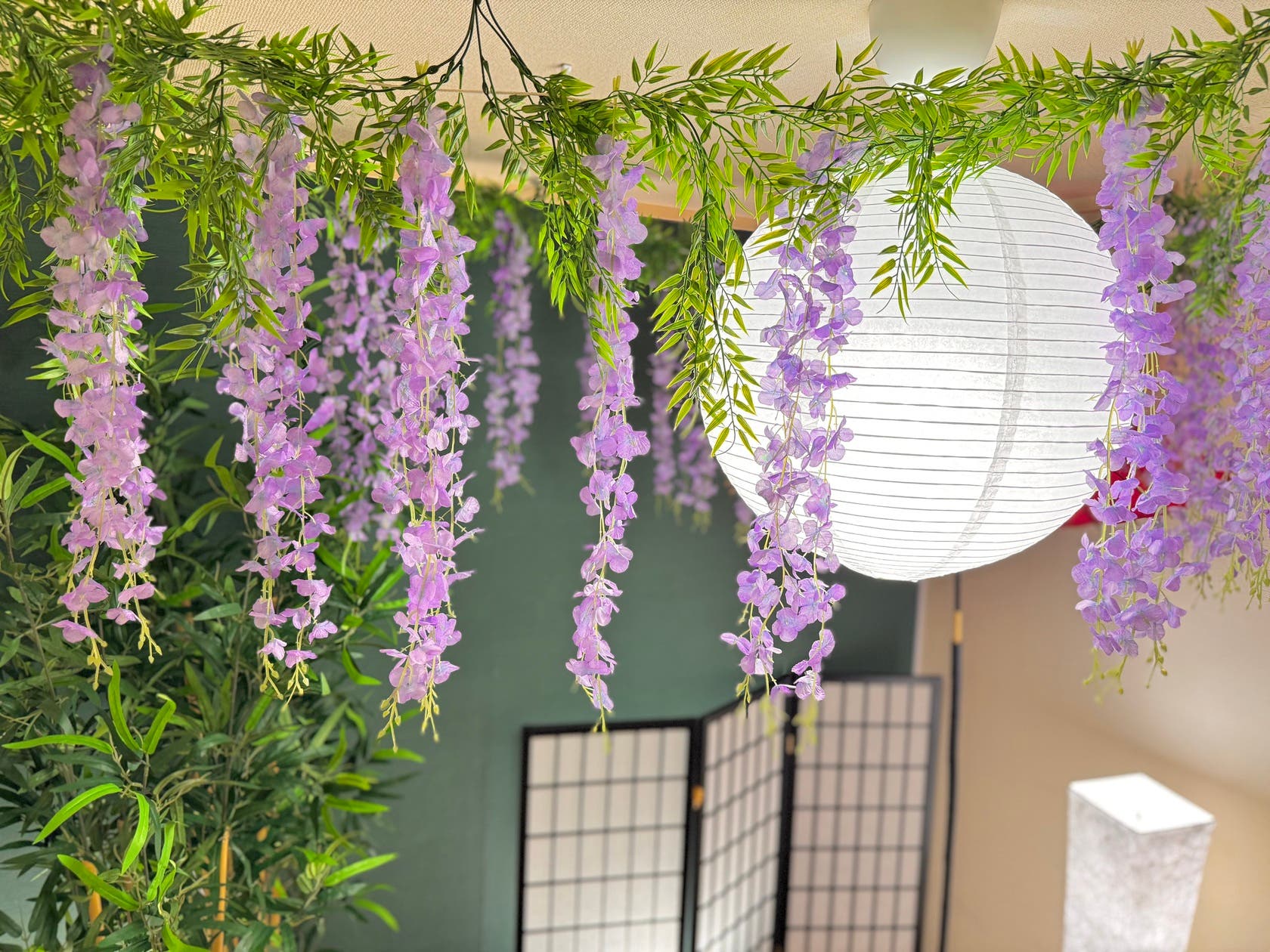 🌿初夏限定🌿藤と紫陽花の和風空間🍃新緑映え和室×ミニ日本庭園🪭着物撮影👘コスプレ📸女子会🎉デート🥂浅草5分🏮の写真3