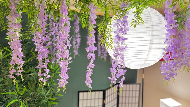 🌿初夏限定🌿藤と紫陽花の和風空間🍃新緑映え和室×ミニ日本庭園🪭着物撮影👘コスプレ📸女子会🎉デート🥂浅草5分🏮の写真3