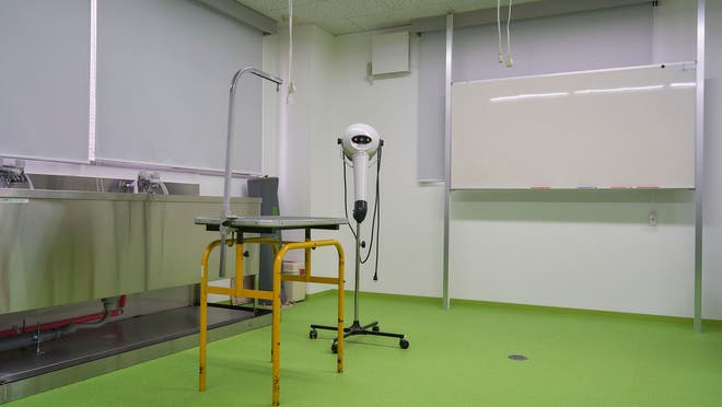大阪北区でトリミング・シャンプー・セミナーなどに使える多用途レンタルスペース♪1時間から利用OK☆の写真4