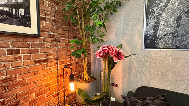 🌿グリーン溢れるブルックリン空間🍃神田駅5分✨75型TV📺14名着席ソファ🛋️電気ピザ窯🍕パーティー 🎉女子会🥂の写真7