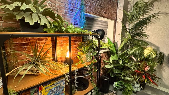 🌿グリーン溢れるブルックリン空間🍃神田駅5分✨75型TV📺14名着席ソファ🛋️電気ピザ窯🍕パーティー 🎉女子会🥂の写真2
