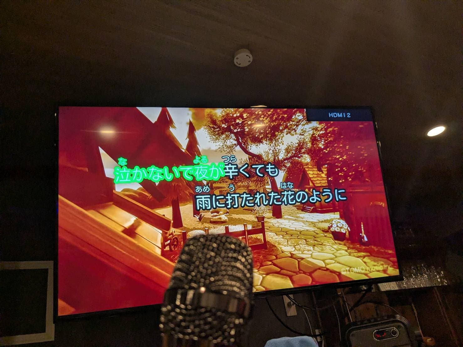 こかげ　テラスルームの写真8