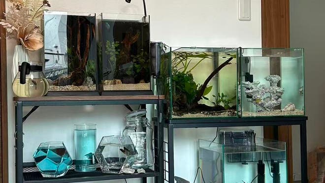 JR大塚徒歩3分、まるで水族館にいるような癒しの空間の写真2