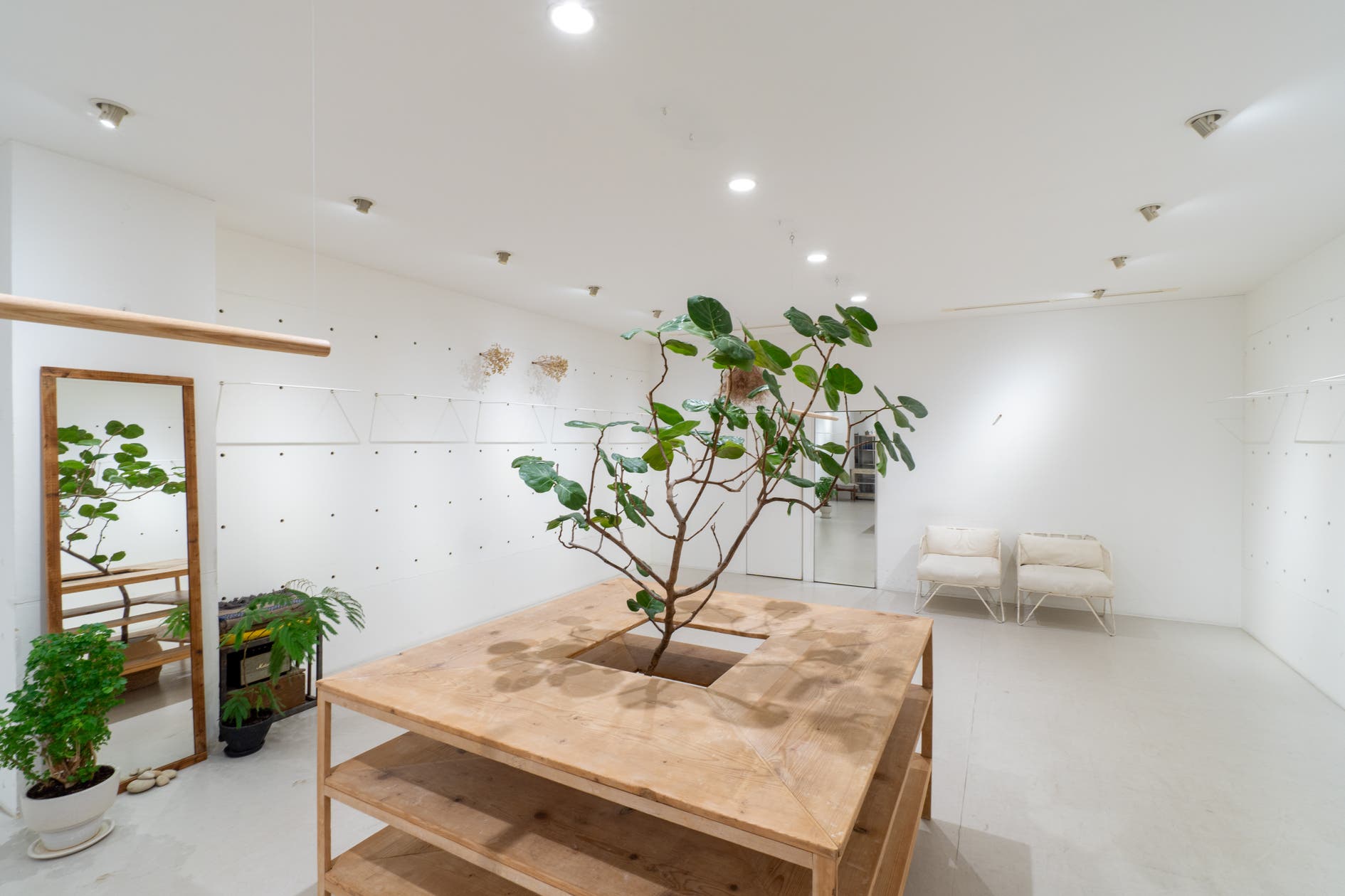 【大濠公園駅徒歩3分】ポップアップや展示会、撮影利用に最適な約70㎡のシロハコスタジオの写真6