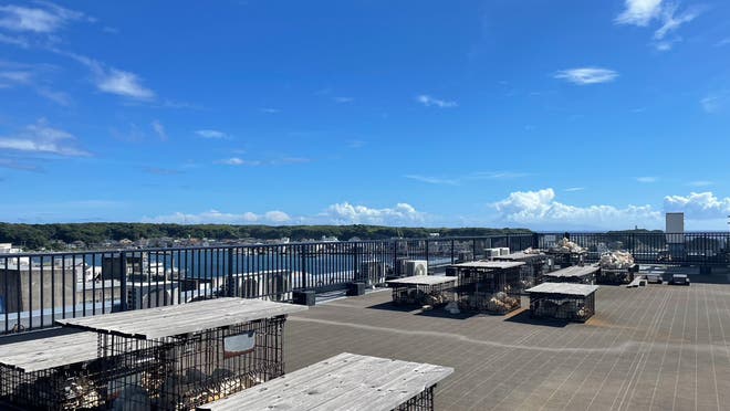 城ヶ島撮影の控室🌴広々58㎡✨ペット同伴OK🐶/屋上撮影可/背景布撮影📸【marスタジオ】の写真11