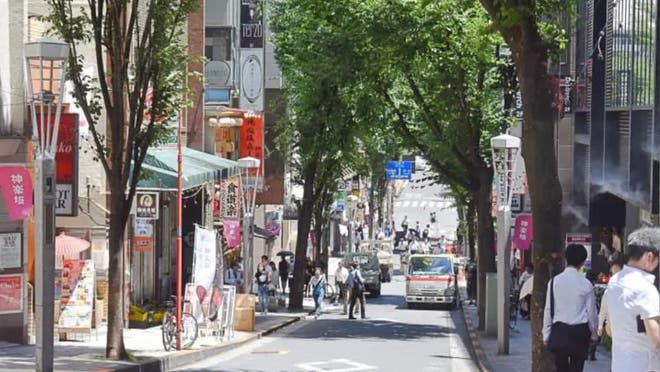 NEW【飯田橋4分】清潔で快適✨神楽坂🌿壁一面鏡張り、24時間、ピアノ、WIFI、最適な音響。楽器・歌の練習、レッスン、撮影の写真13