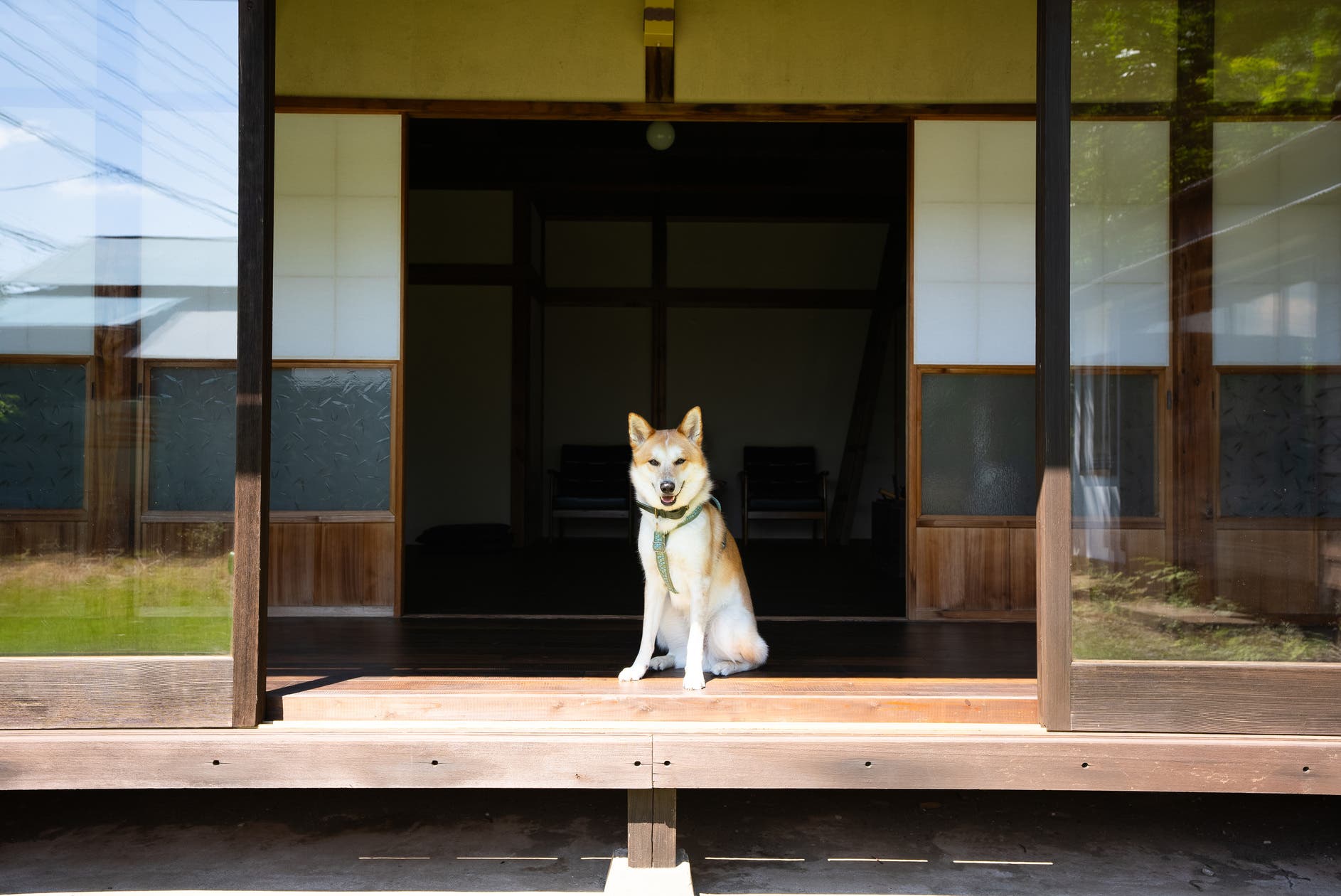 三浦半島の金田海岸より徒歩30秒の写真6
