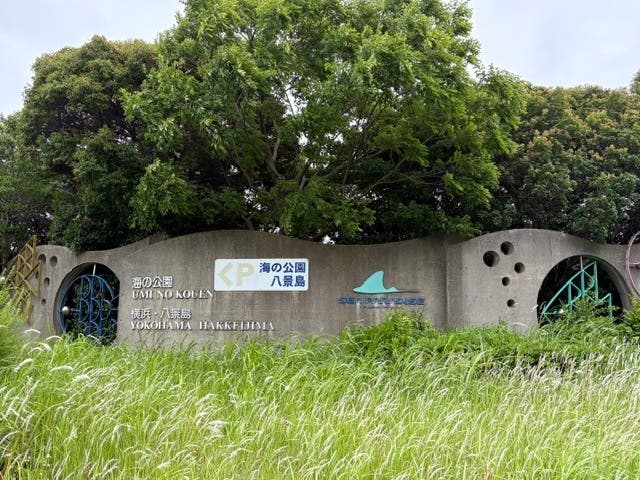 【海の公園目の前】高い天井・白い壁・明るい窓　～ポートレート撮影/広告動画撮影/カフェ撮影/ロケ撮影/趣味の集まり/女子会などの写真13