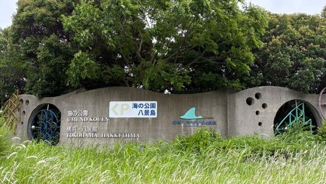 【海の公園目の前】高い天井・白い壁・明るい窓 ~ポートレート撮影/広告動画撮影/カフェ撮影/ロケ撮影/趣味の集まり/女子会などの写真13