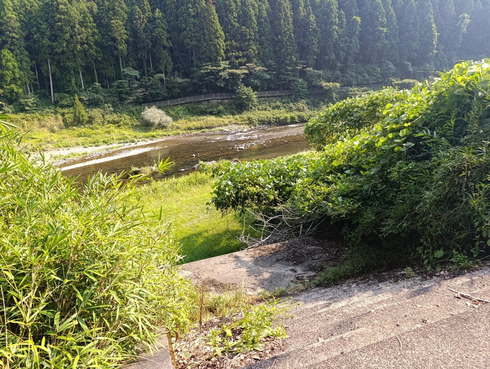 🌲 京都の森の「大人の遊び場」を丸ごと貸切！の写真5