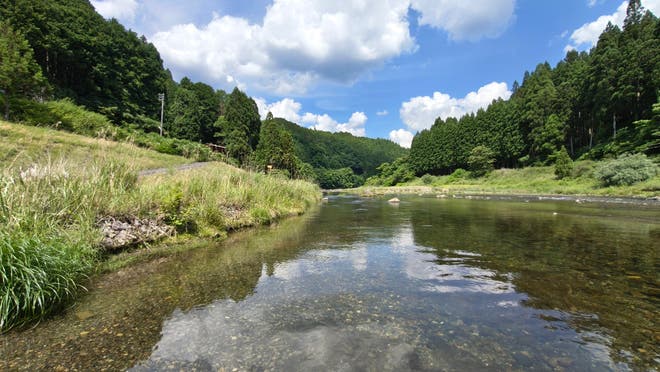 🌲 京都の森の「大人の遊び場」を丸ごと貸切!の写真19
