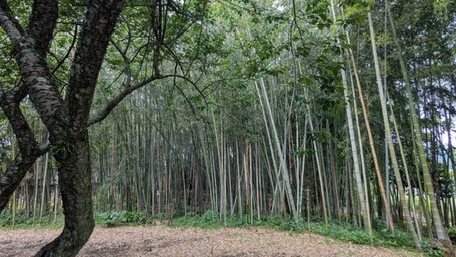 【1日1組限定】出水武家屋敷の極上邸宅を完全貸切!「誰にも邪魔されない」究極のプライベート空間の写真6