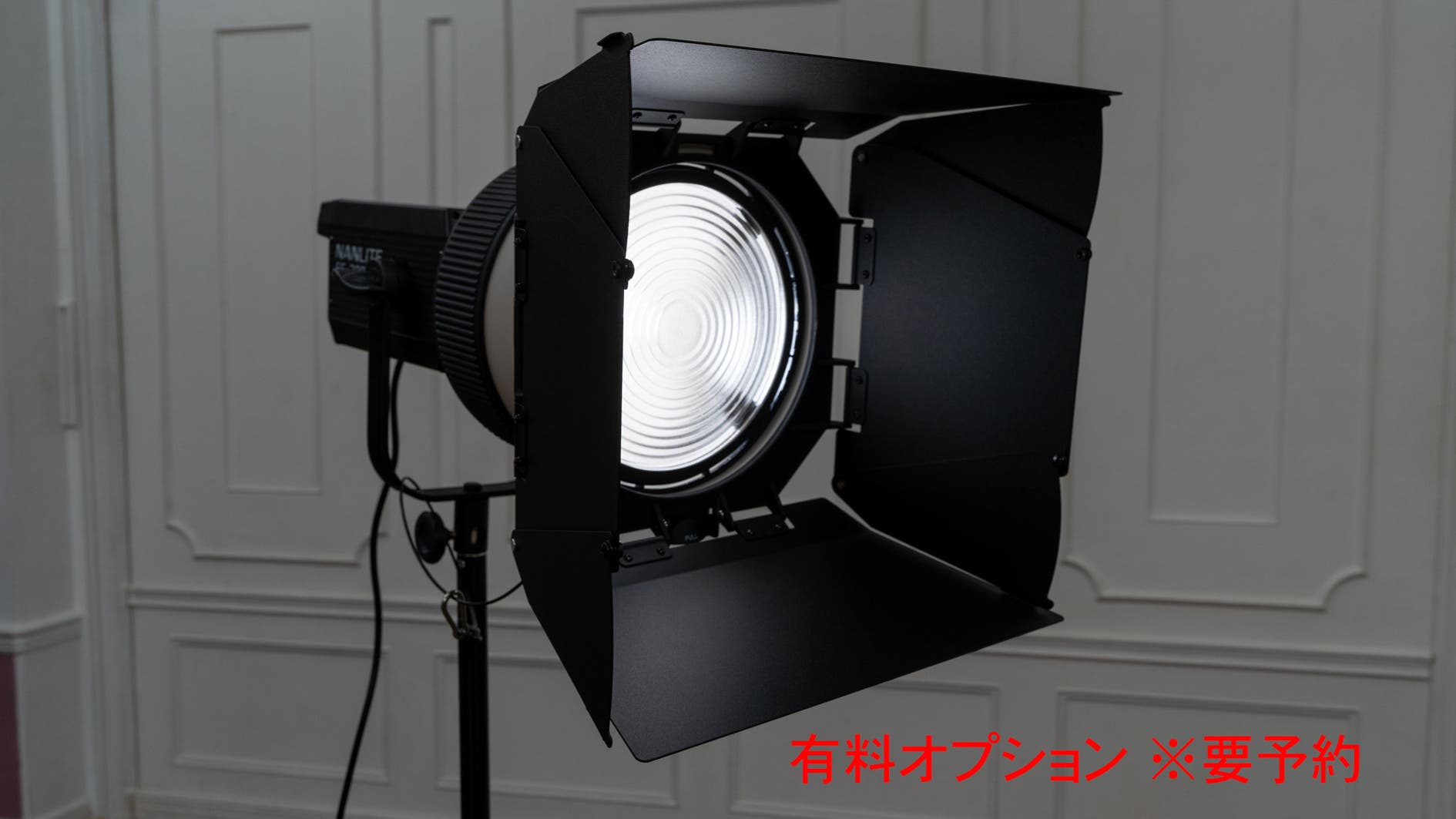 フレネルスポット　FL-20Gの画像2