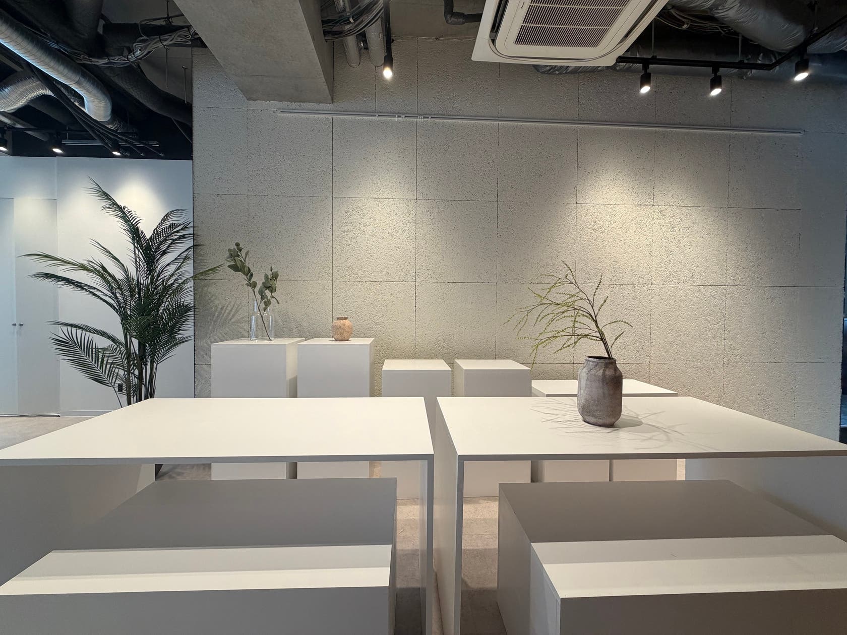 スペモ🌿下北沢駅徒歩5分🚶‍♀️自然光たっぷり✨展示会・ポップアップ・撮影に最適❗️864_actor下北沢の写真7