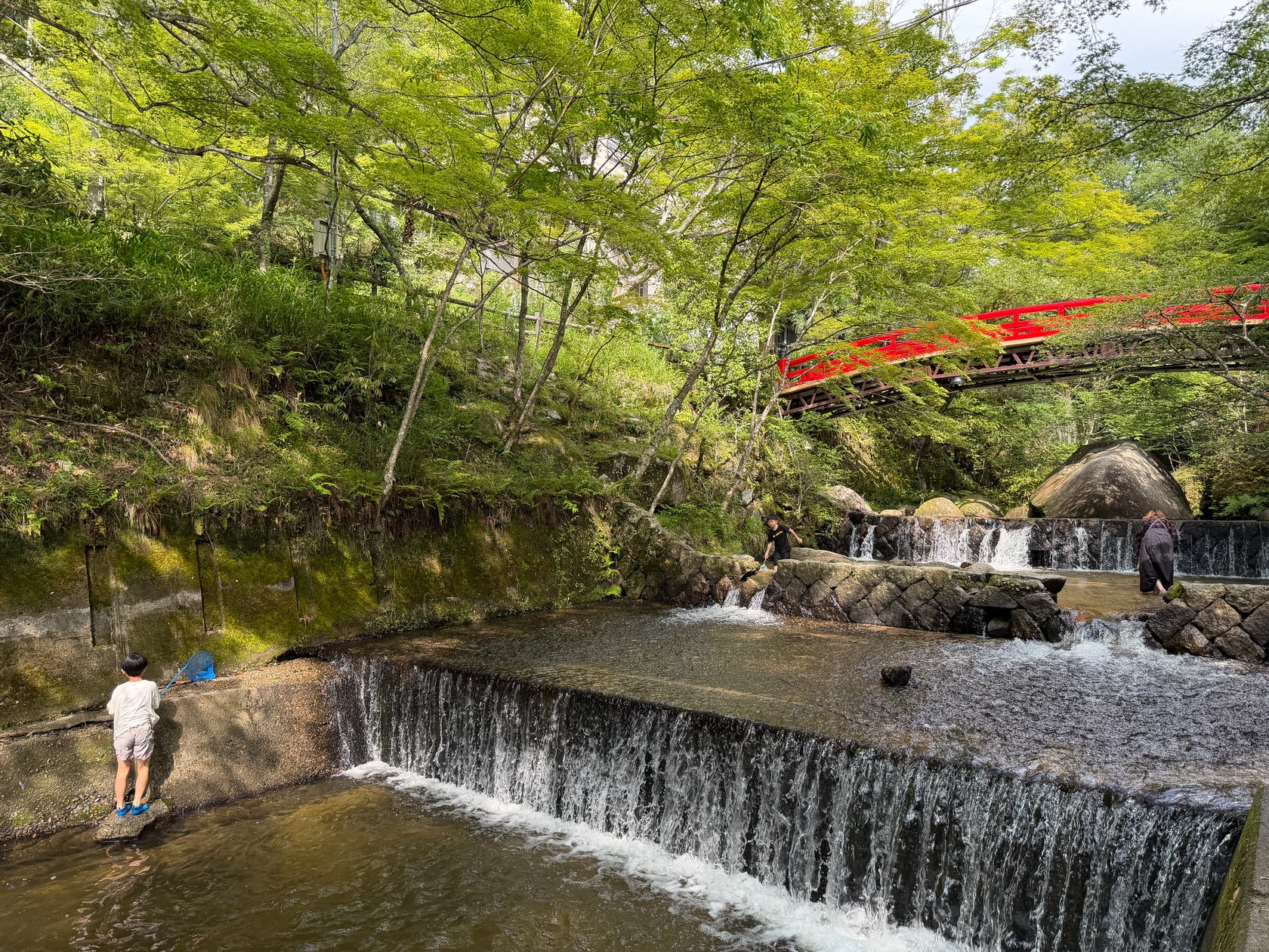 岩屋堂の自然に囲まれた旅館和室を貸切利用。多目的レンタルスペースの写真8