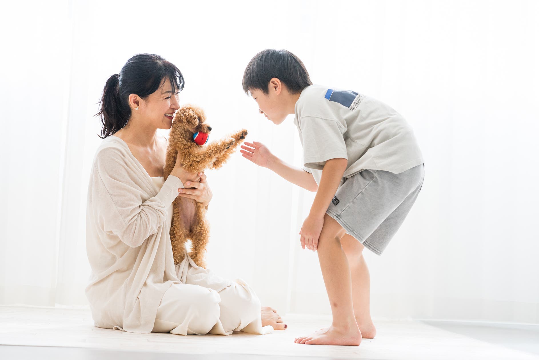 【洗足駅徒歩1分】【スチール＆ムービー同一料金✨】【ペット可】白を基調とした自然光がきれいなフォトスタジオの写真2