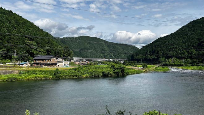 木々に囲まれた 屋外50mプール 郡上八幡のナチュラルミネラルウォーター100%使用の写真6
