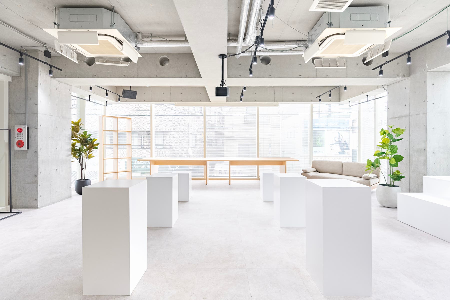 スペモ🌿下北沢駅徒歩5分🚶‍♀️自然光たっぷり✨展示会・ポップアップ・撮影に最適❗️864_POPUP下北沢の写真6
