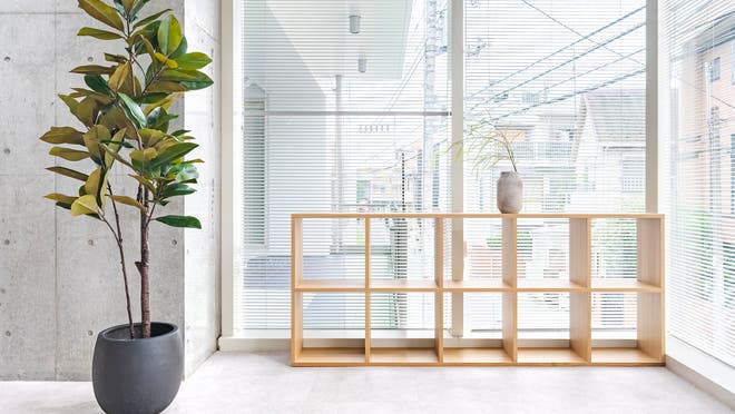 スペモ🌿下北沢駅徒歩5分🚶♀️自然光たっぷり✨展示会・ポップアップ・撮影に最適❗️864_POPUP下北沢の写真7
