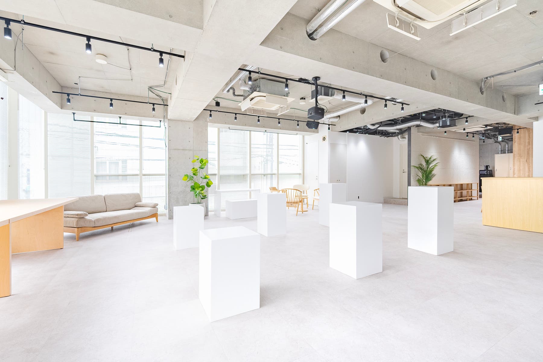 スペモ🌿下北沢駅徒歩5分🚶‍♀️自然光たっぷり✨展示会・ポップアップ・撮影に最適❗️864_POPUP下北沢の写真19