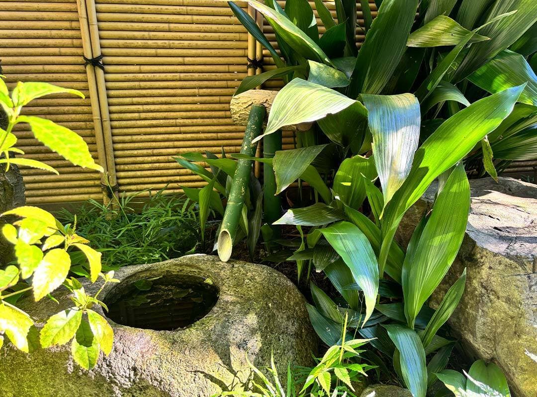 2026年7月 NEW OPEN🍵本格茶室と日本庭園を貸切｜静かな一棟貸し和空間｜茶会・展示会・イベント・撮影[92]の写真3