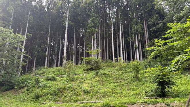 新感覚!自然環境で集中&リラックスが体験できる非日常体験型コワーキングスペースの写真6