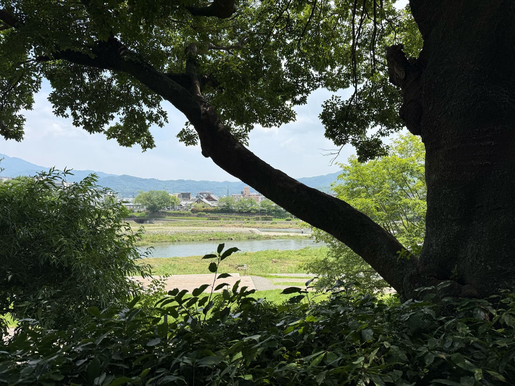 京都・出町柳の歴史的邸宅｜延床78坪、鴨川デルタを望むロケーションの写真12