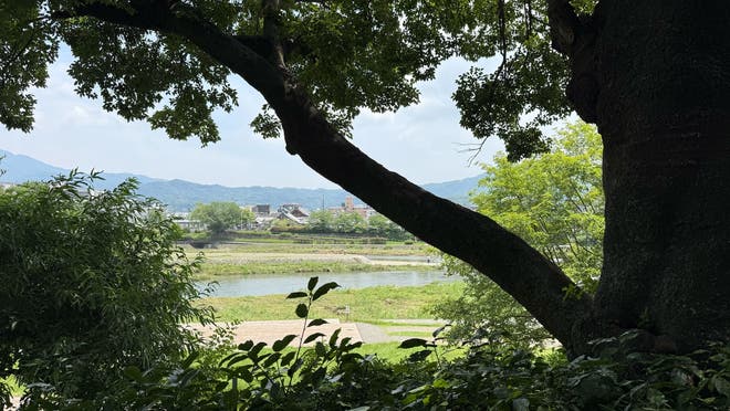 京都・出町柳の歴史的邸宅|延床78坪、鴨川デルタを望むロケーションの写真12